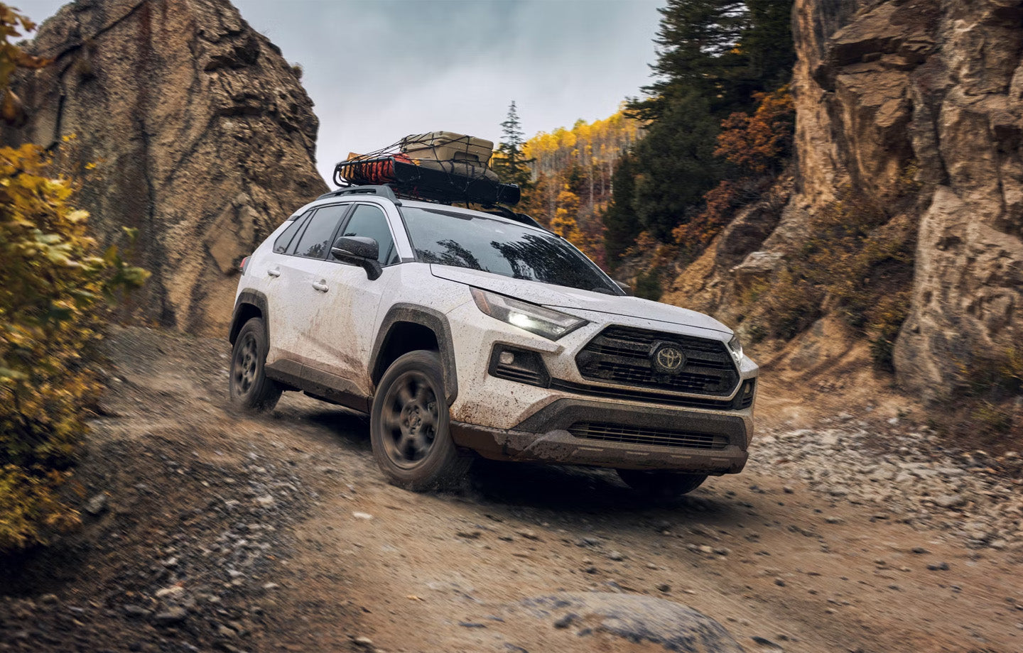 Are Windshield Mounts Legal in Your State? – RAM Mounts